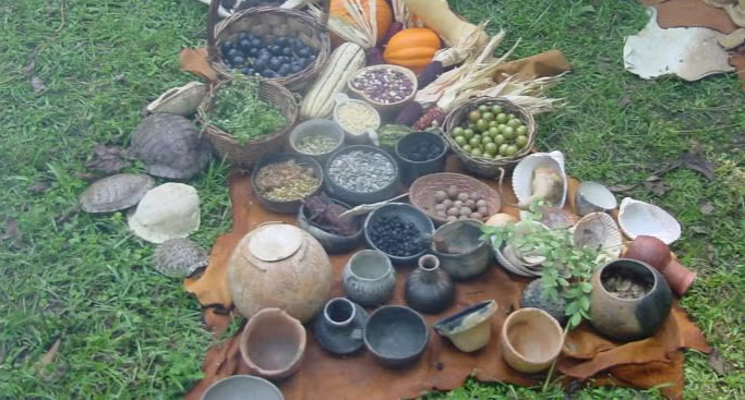 Native American Heritage Month: A Tour Through Local History - FSULIB